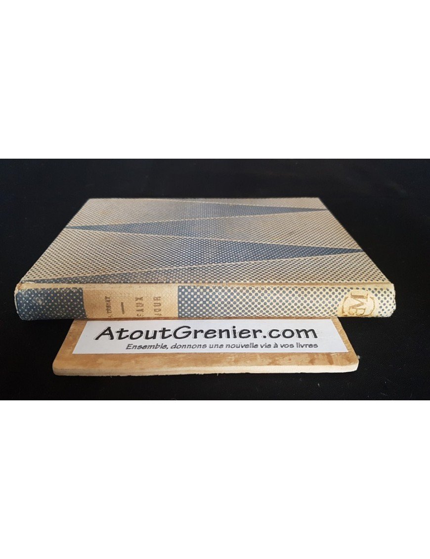 Faux jour Par TROYAT HENRI