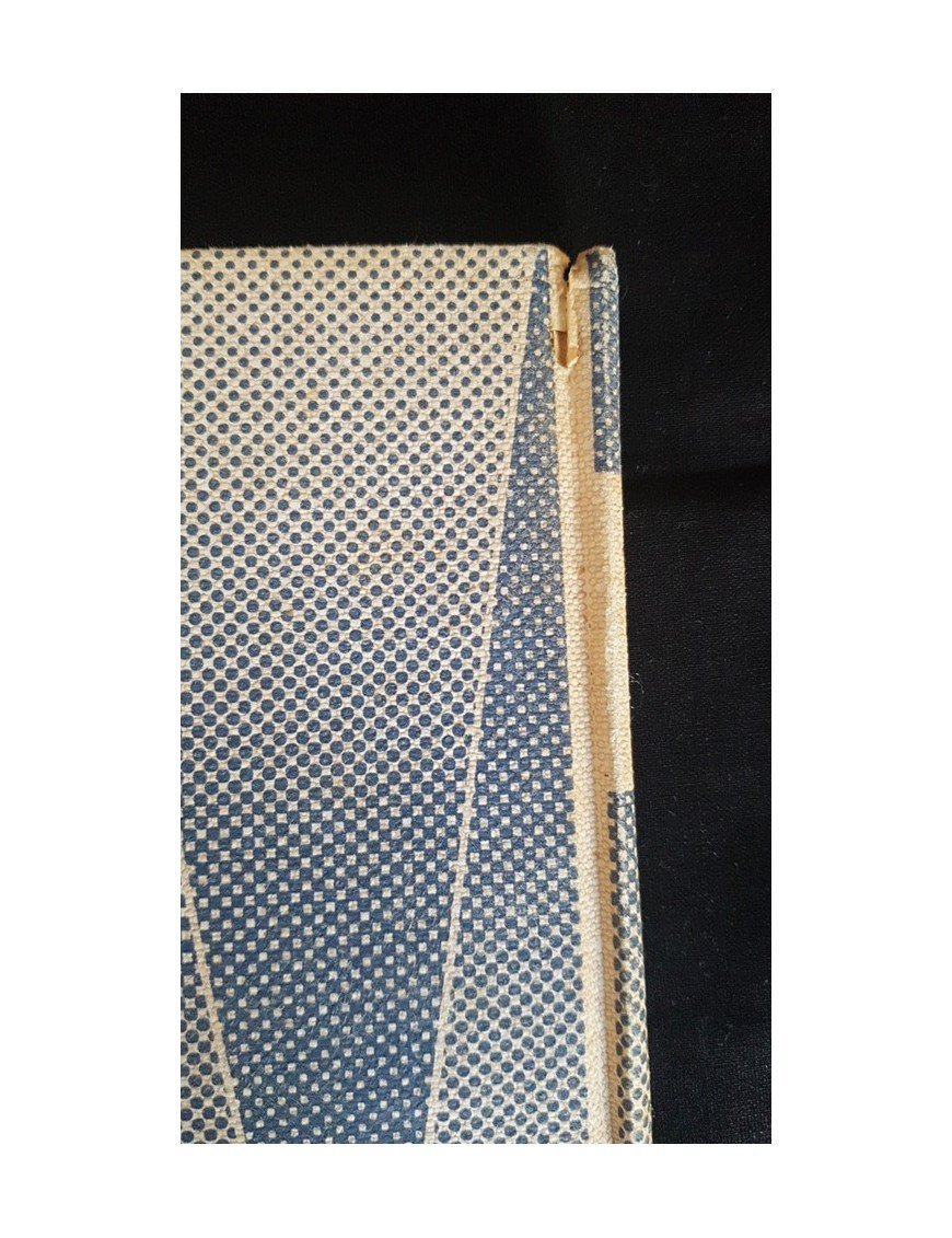 Faux jour Par TROYAT HENRI