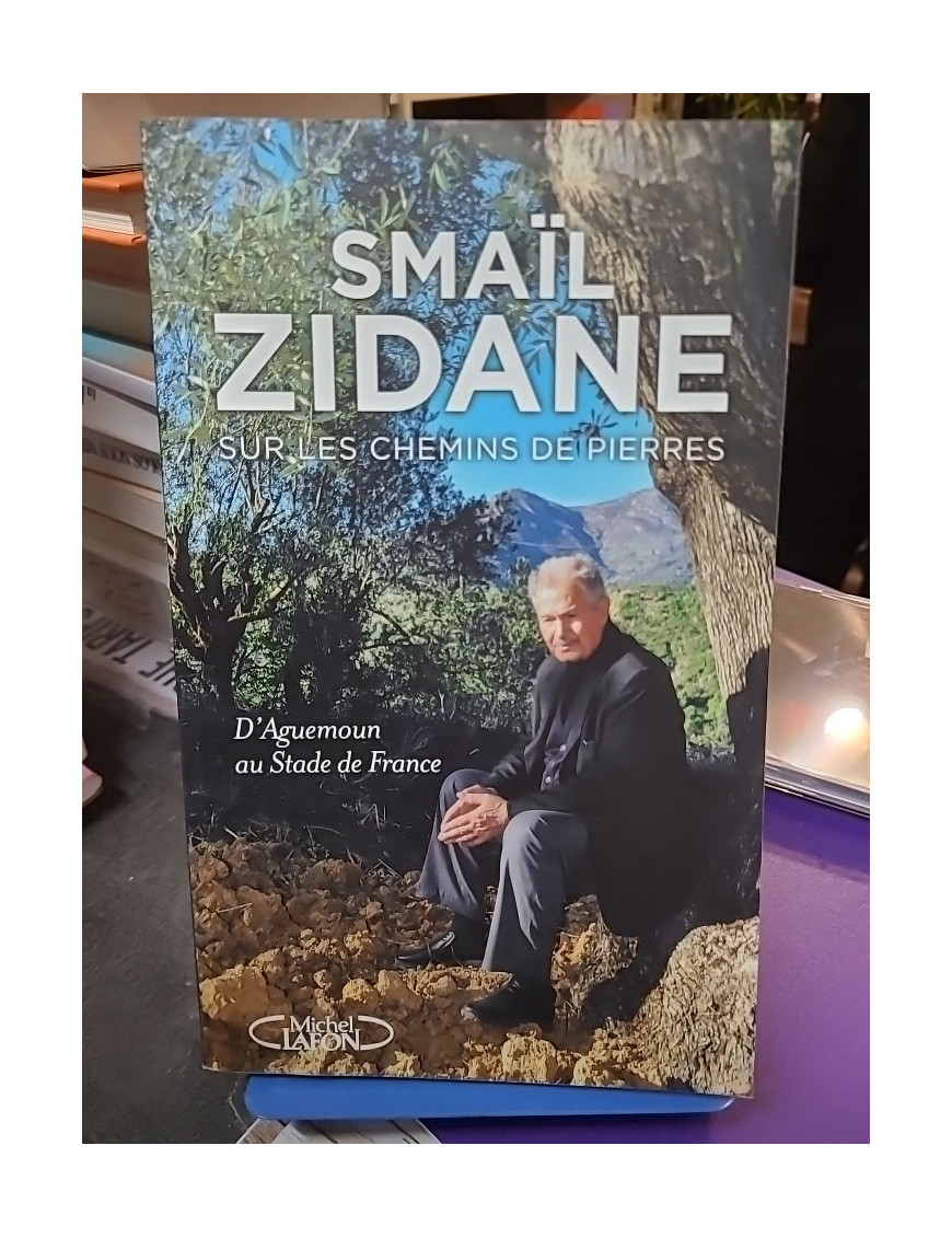 Sur Les Chemins De Pierres D'aguemoun Au Stade De France Smail Zidane